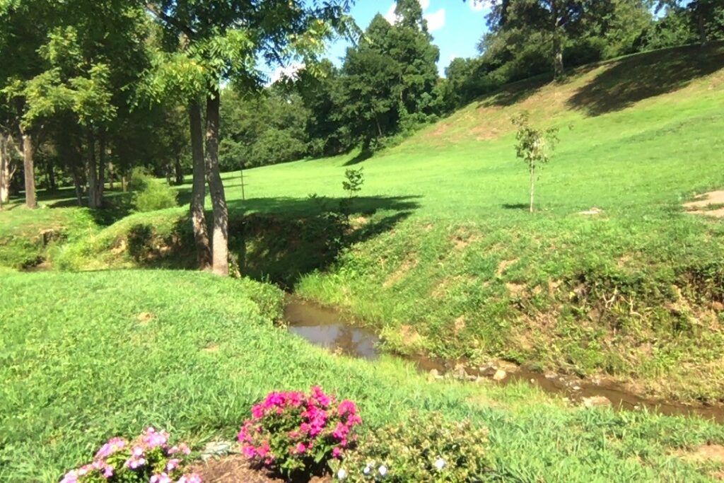 Hidden Gems: Meet Lisa Poarch - Voyage Knoxville Magazine