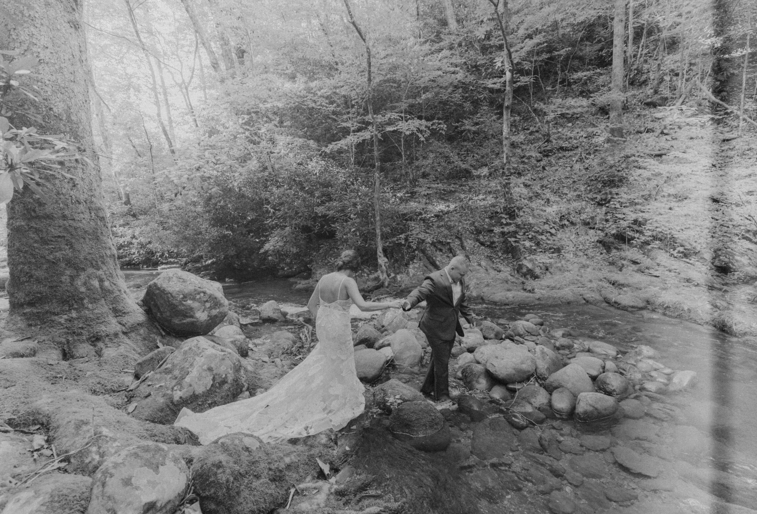 Daily Inspiration: Meet Emily Crisp - Voyage Knoxville Magazine