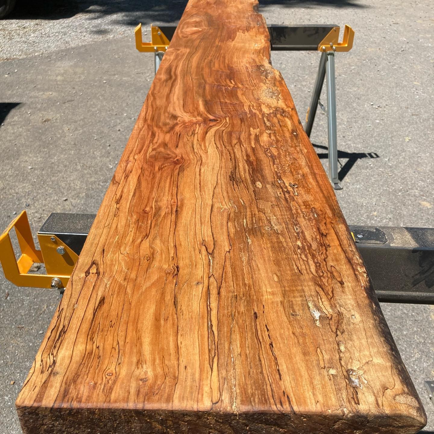 Community Highlights: Meet Jason Tarwater of Tarwater Farm & Mills ...