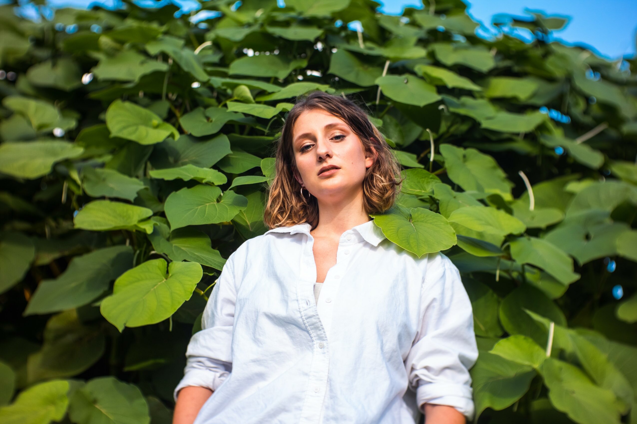 Conversations with Margherita Fava - Voyage Knoxville Magazine